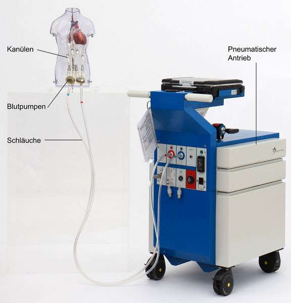 Patients and relatives EXCOR Pediatric